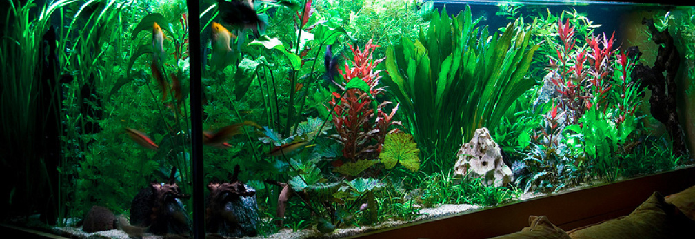 Example No 1381 from the category unknown