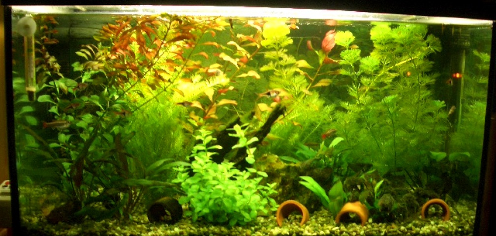 Example No 7626 from the category unknown